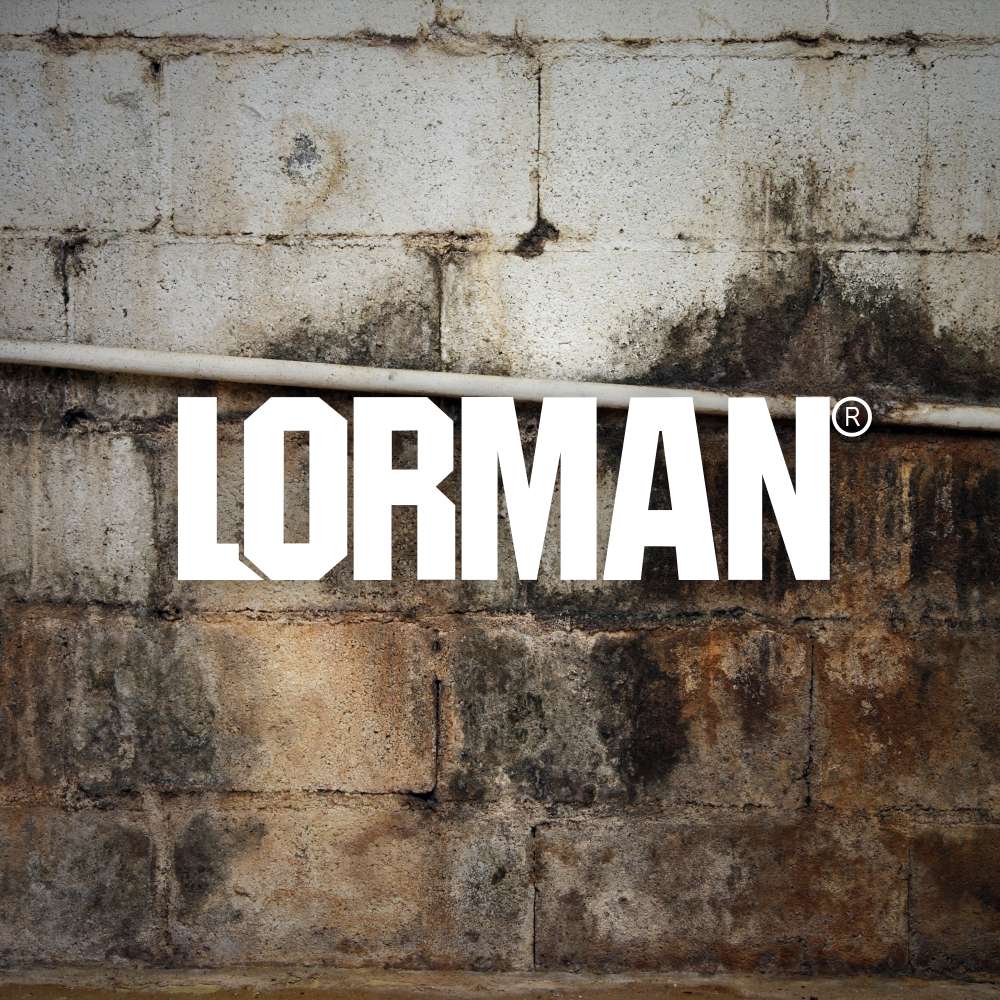 Solving Water Intrusion and Mold Problems - OnDemand Course | Lorman ...